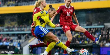 Tre punkter från VM-kval Sverige - Danmark: ”Ser lovande ut” - SvenskaFans